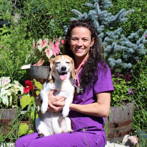 Veterinarian In Cohasset MA | Crazy Paws Veterinary Hospital